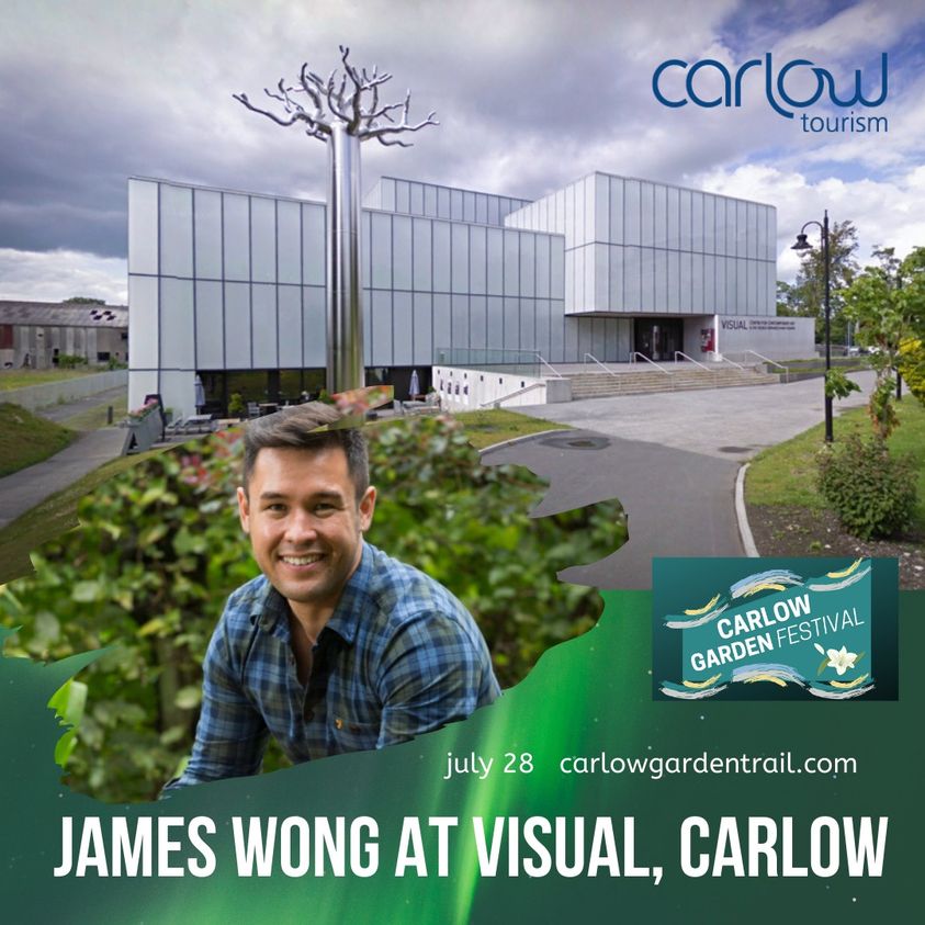 James Wong at Visual Carlow - Love Carlow